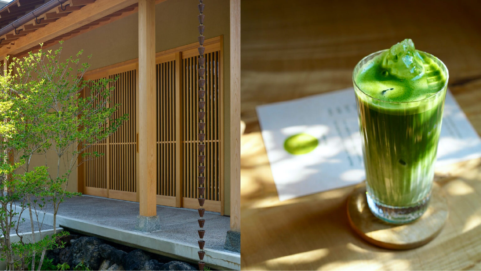 Wasachi – THE BEST MATCHA